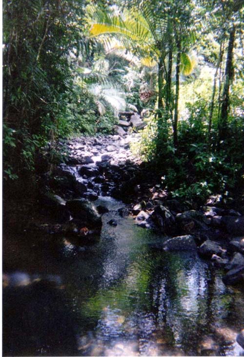 Spring Break - Puerto Rico